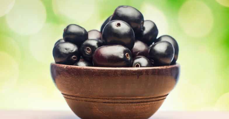 Frozen Jamun - Novella
