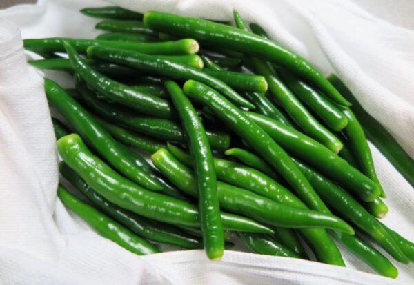 Frozen Green Chilli - Novella